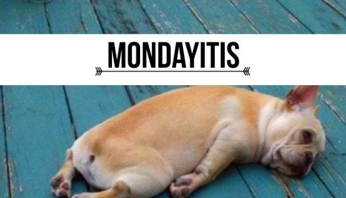 MONDAYITIS; Let’s do this together ! – KATIE MORGAN